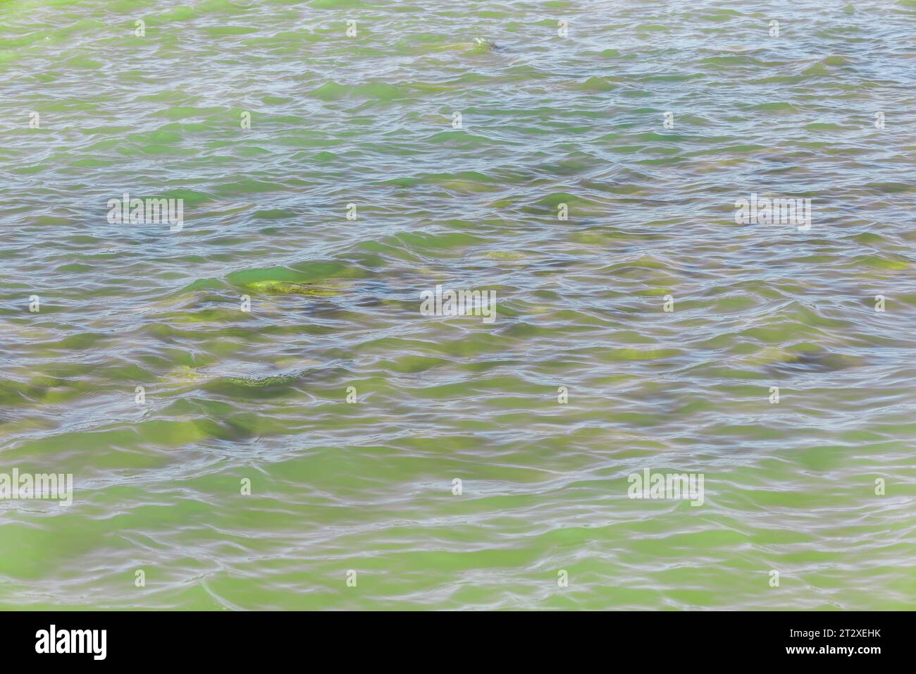 Background sea water near the shore with a stone shore Stock Photo - Alamy