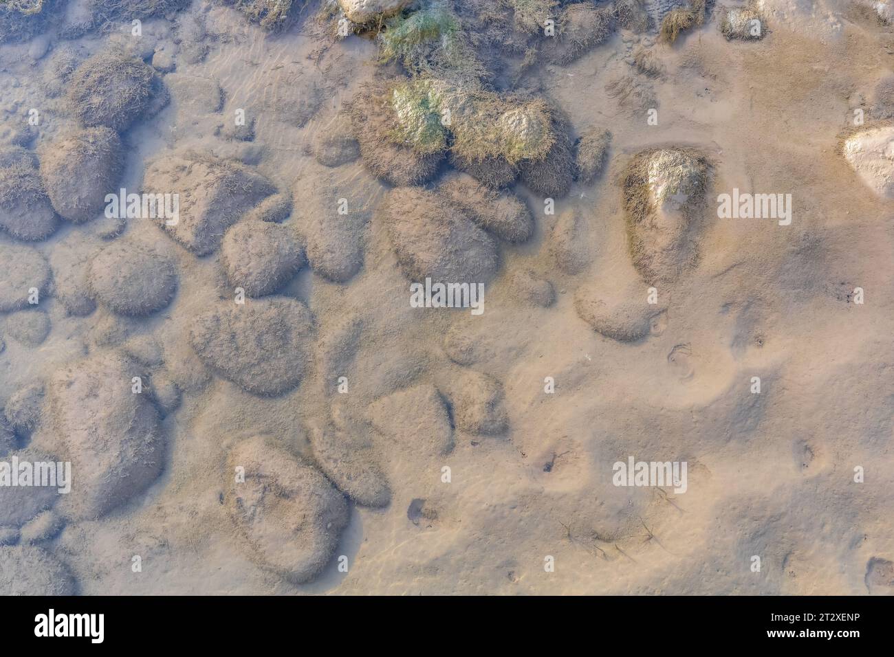 Stillnesses hi-res stock photography and images - Alamy