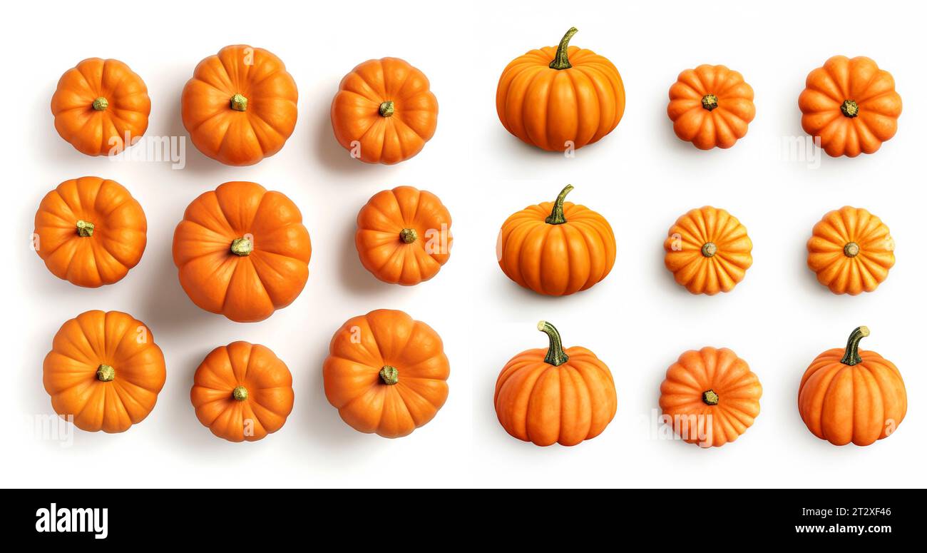pumpkin isolated on white backgrounds Stock Photo - Alamy