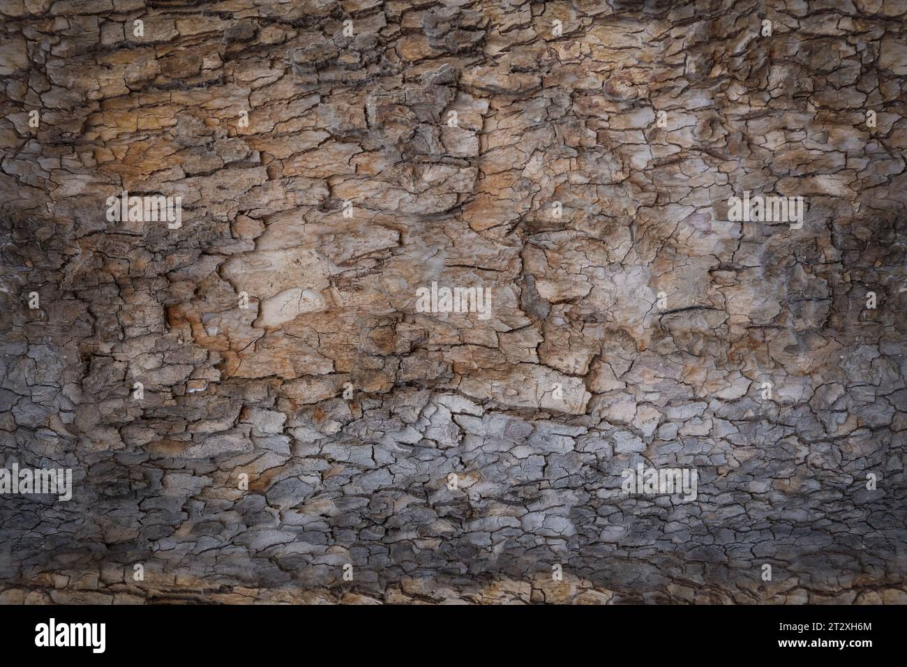 Granular material, solid wood with a structural surface for design ...