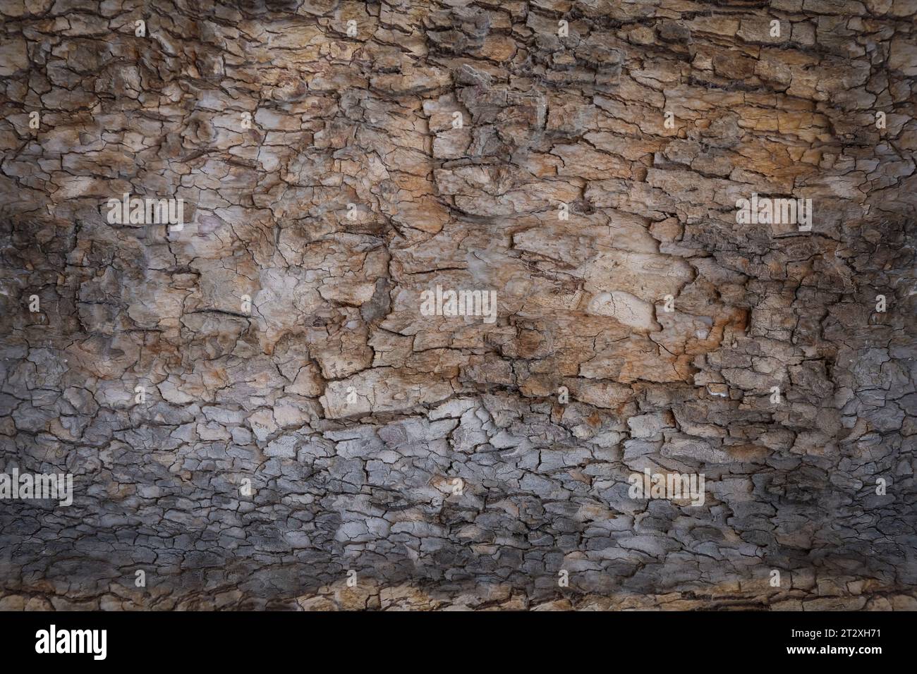 Granular material, solid wood with a structural surface for design ...