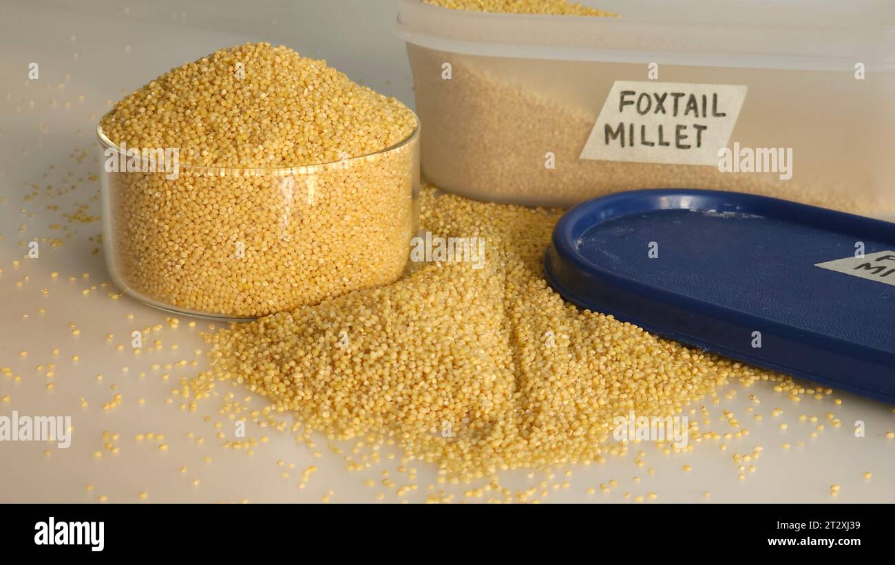 Hungarian millets hi-res stock photography and images - Alamy