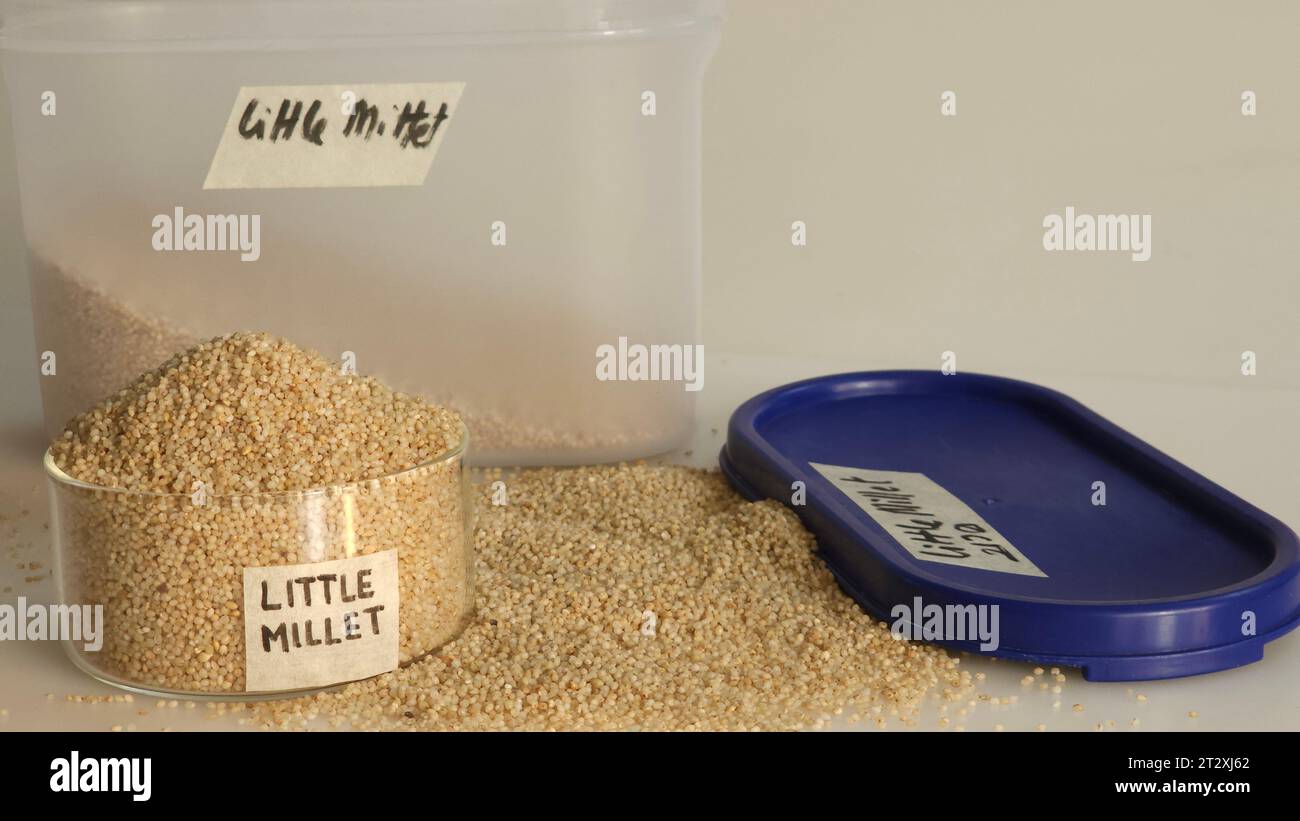 Closeup of little millet grains in a storage container and glass bowl ...