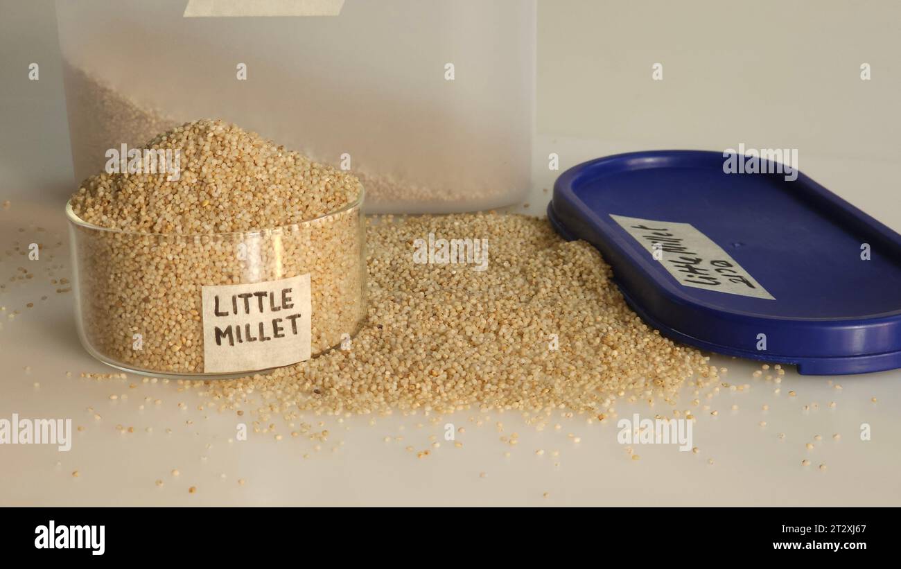 Closeup of little millet grains in a storage container and glass bowl ...