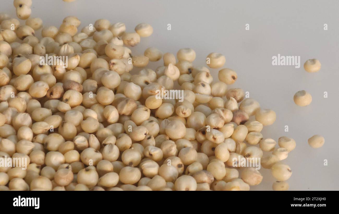 International millet year hi-res stock photography and images - Alamy