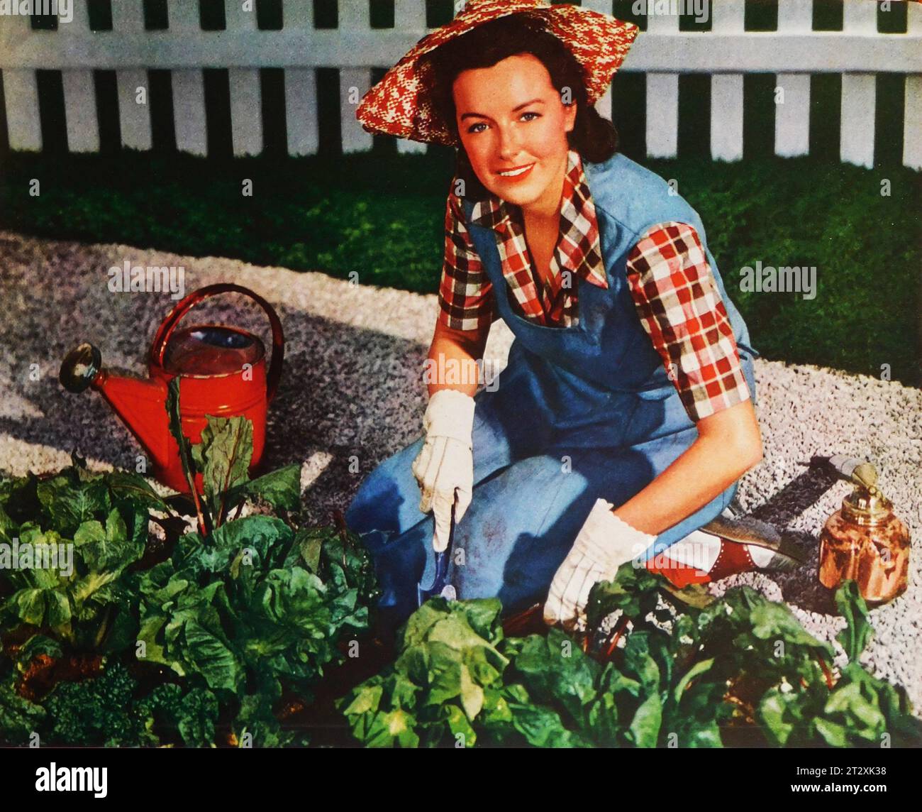 Woman Gardening / Working in Garden on Vegetable Patch with Insecticide ...