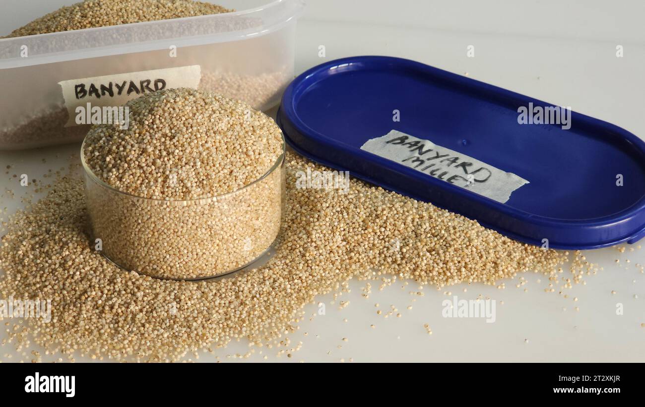 Five positive millets hi-res stock photography and images - Alamy