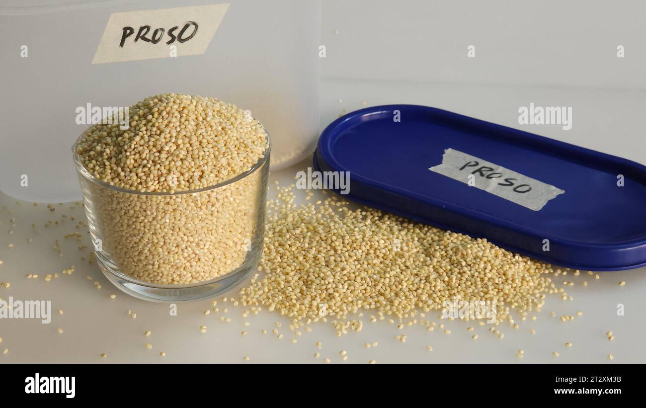 Proso millet, tiny round seeds with a golden hue kept in a container ...