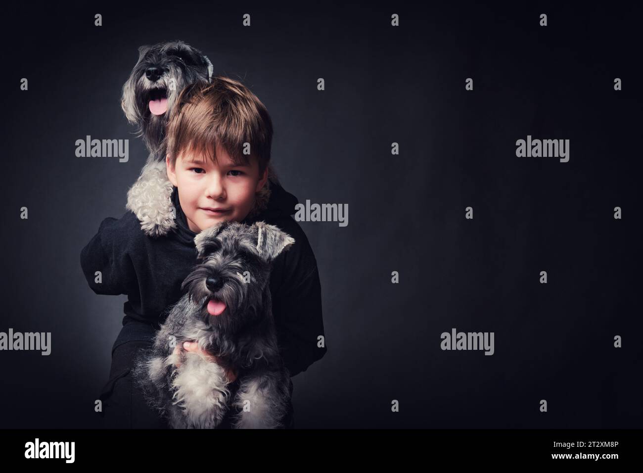 Child holding a white miniature schnauzer dog, surrounded by happiness ...