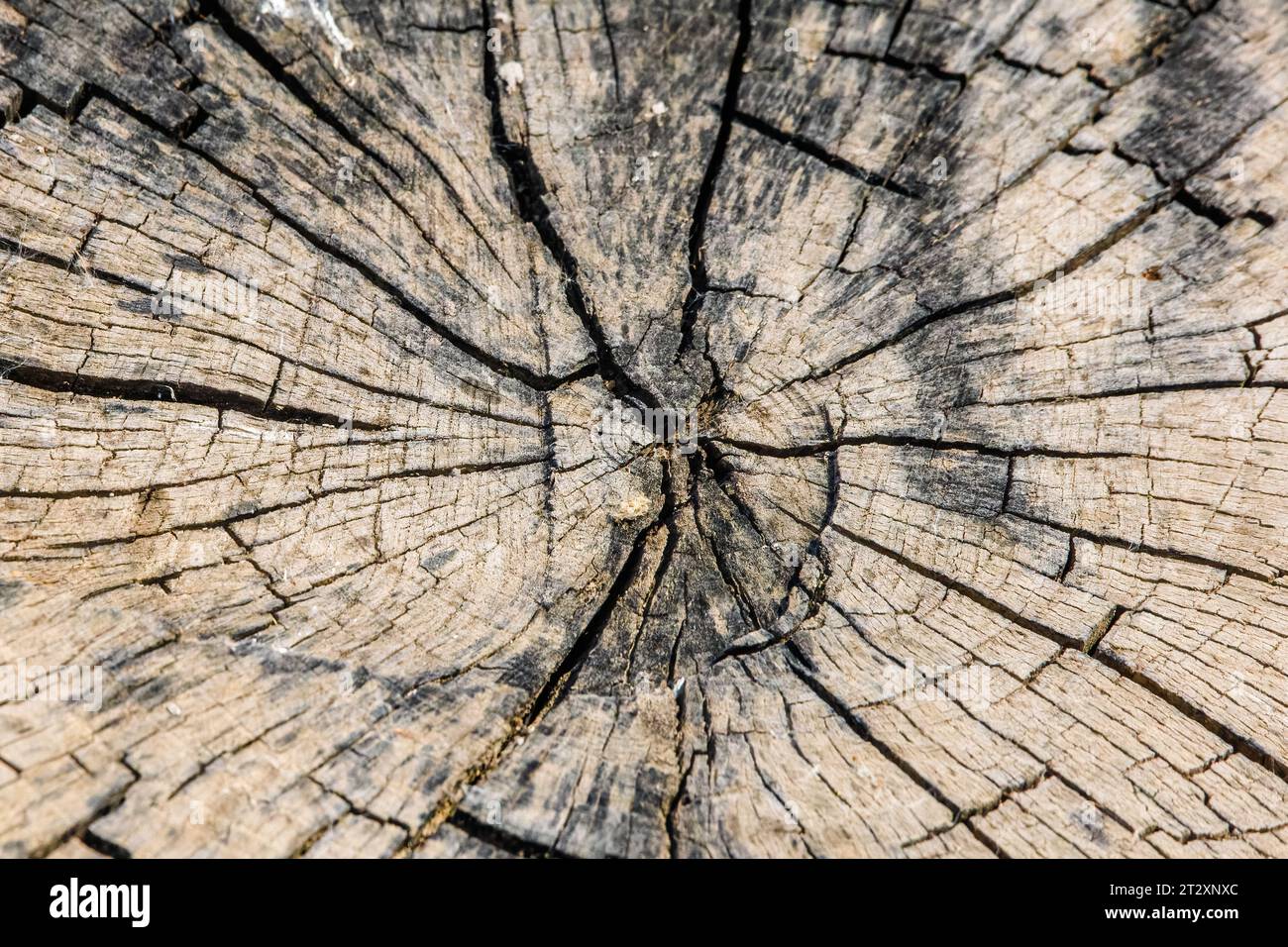 Panoramic abstract decorative background. Wide-angle wallpaper with a ...