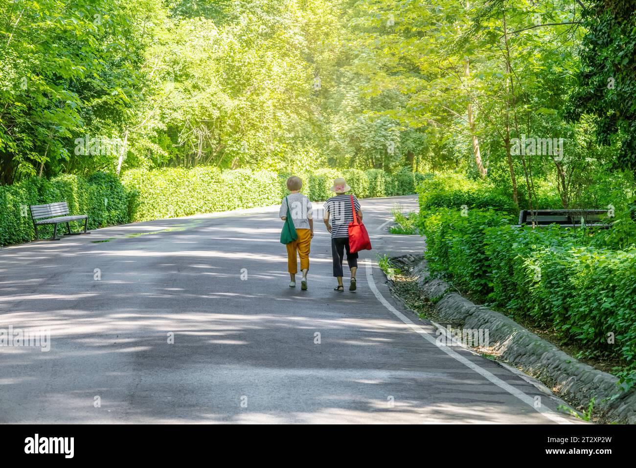 Background with people without a face from the back walking outdoors in ...
