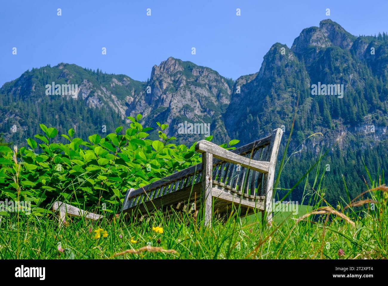 Rustic wooden bench in a mountain meadow. Tall mountain range, blue sky ...