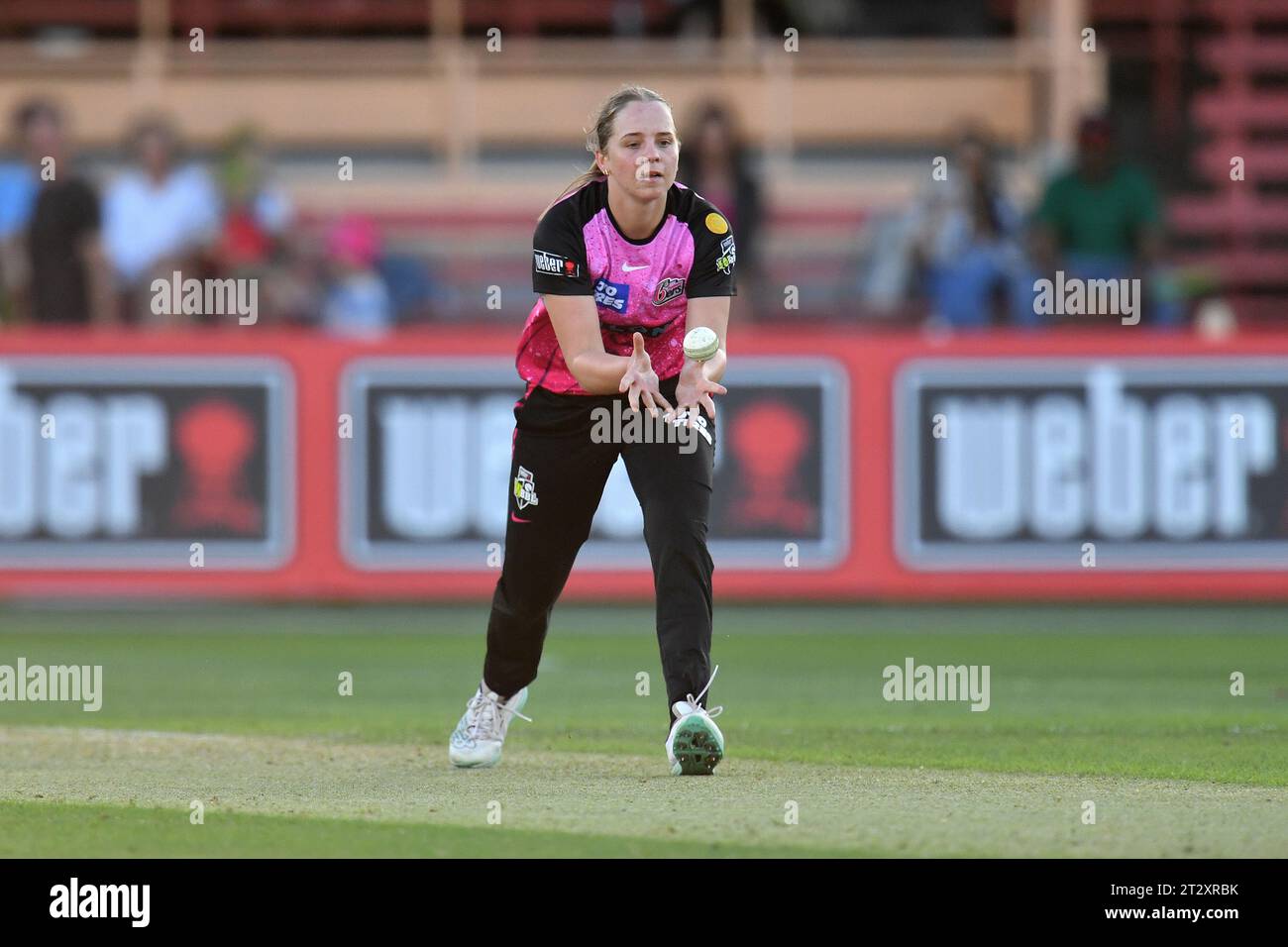 Sydney, Australia. 22nd Oct, 2023. Jess Kerr of the Sixers during the ...