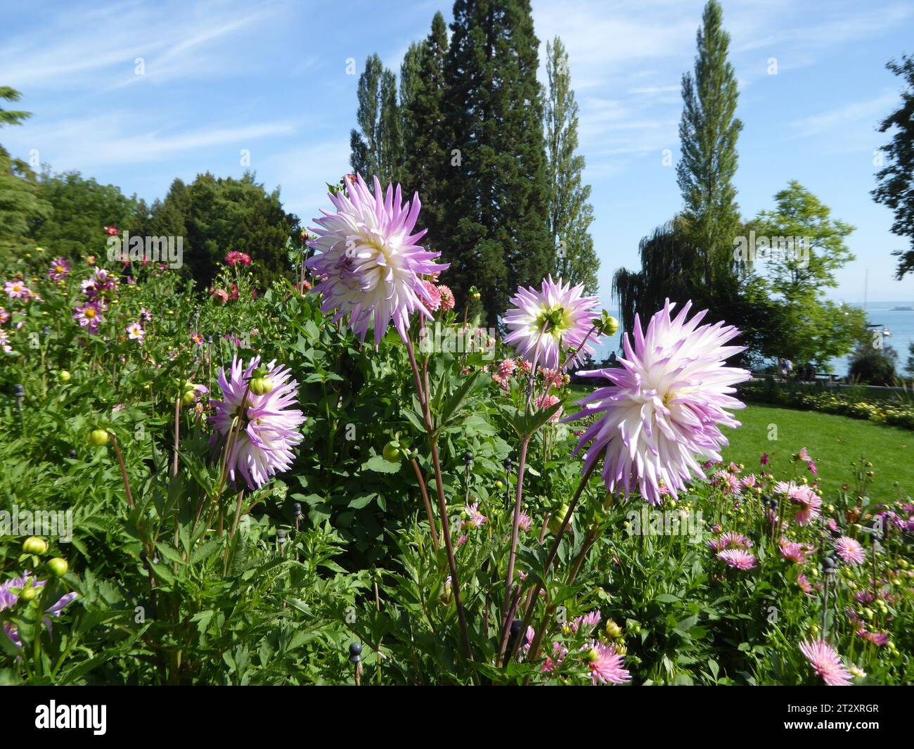 Island Mainau and Butterfly Selection, Bodensee, Germany Stock Photo ...