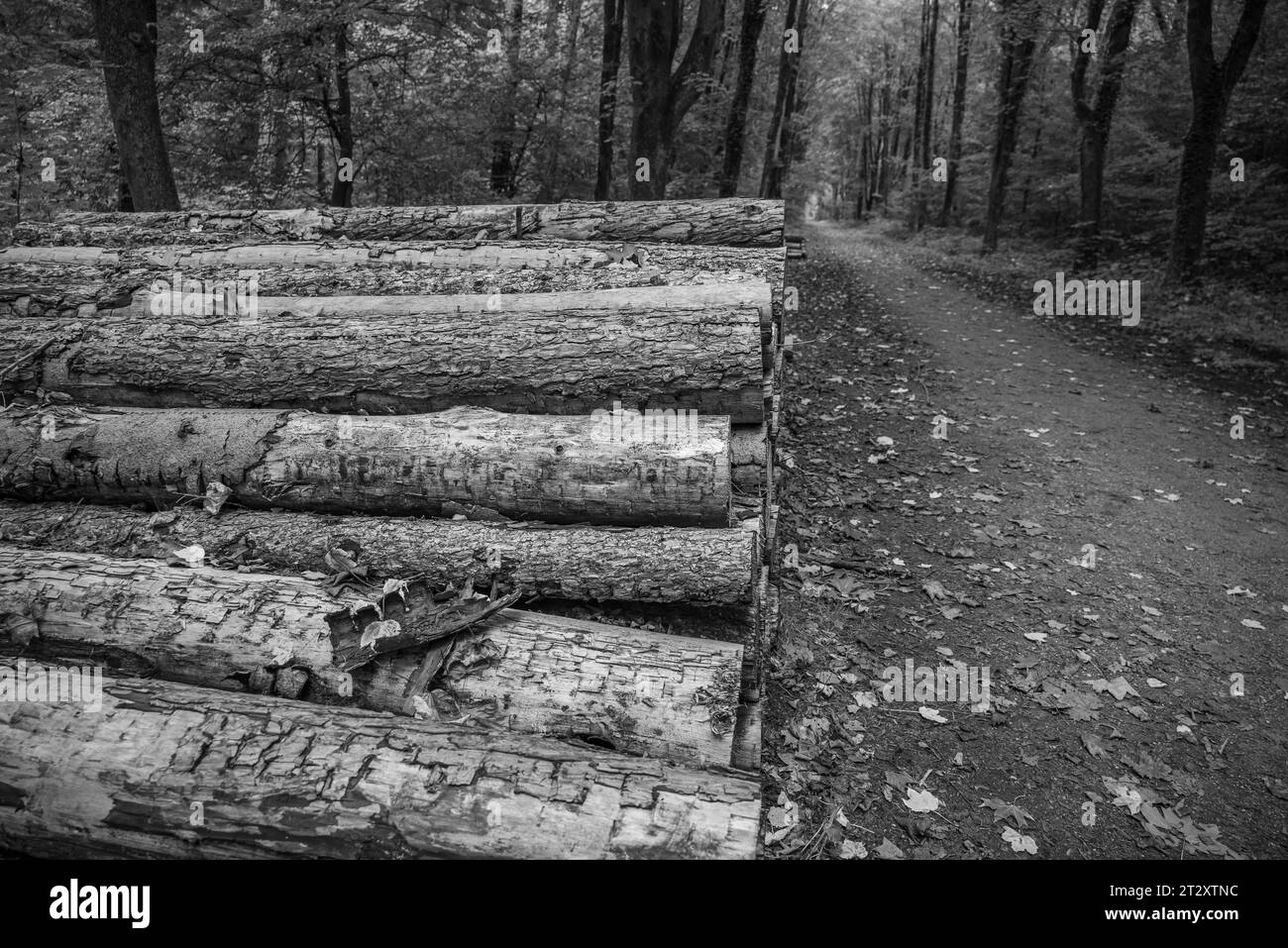 late summer in westphalia Stock Photo - Alamy late summer in westphalia Stock Photo - Alamy