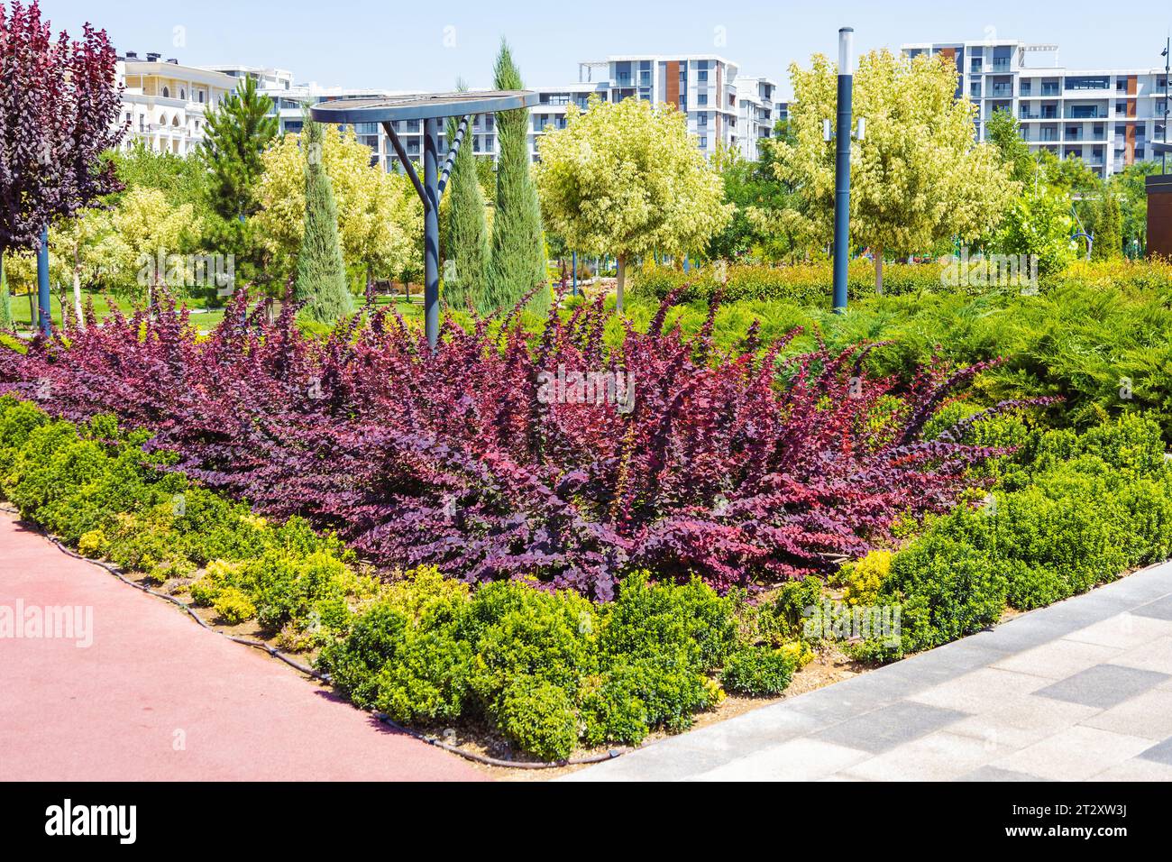 Theme for landscape design with plants Stock Photo - Alamy