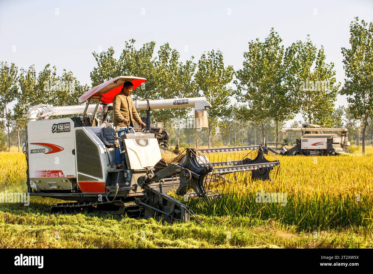 Machines harvesting rice field hi-res stock photography and images - Alamy