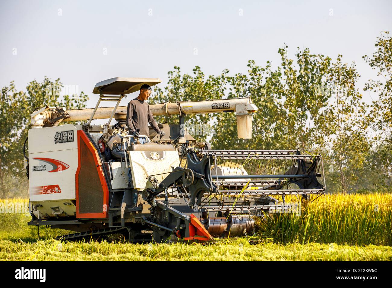Machines harvesting rice field hi-res stock photography and images - Alamy