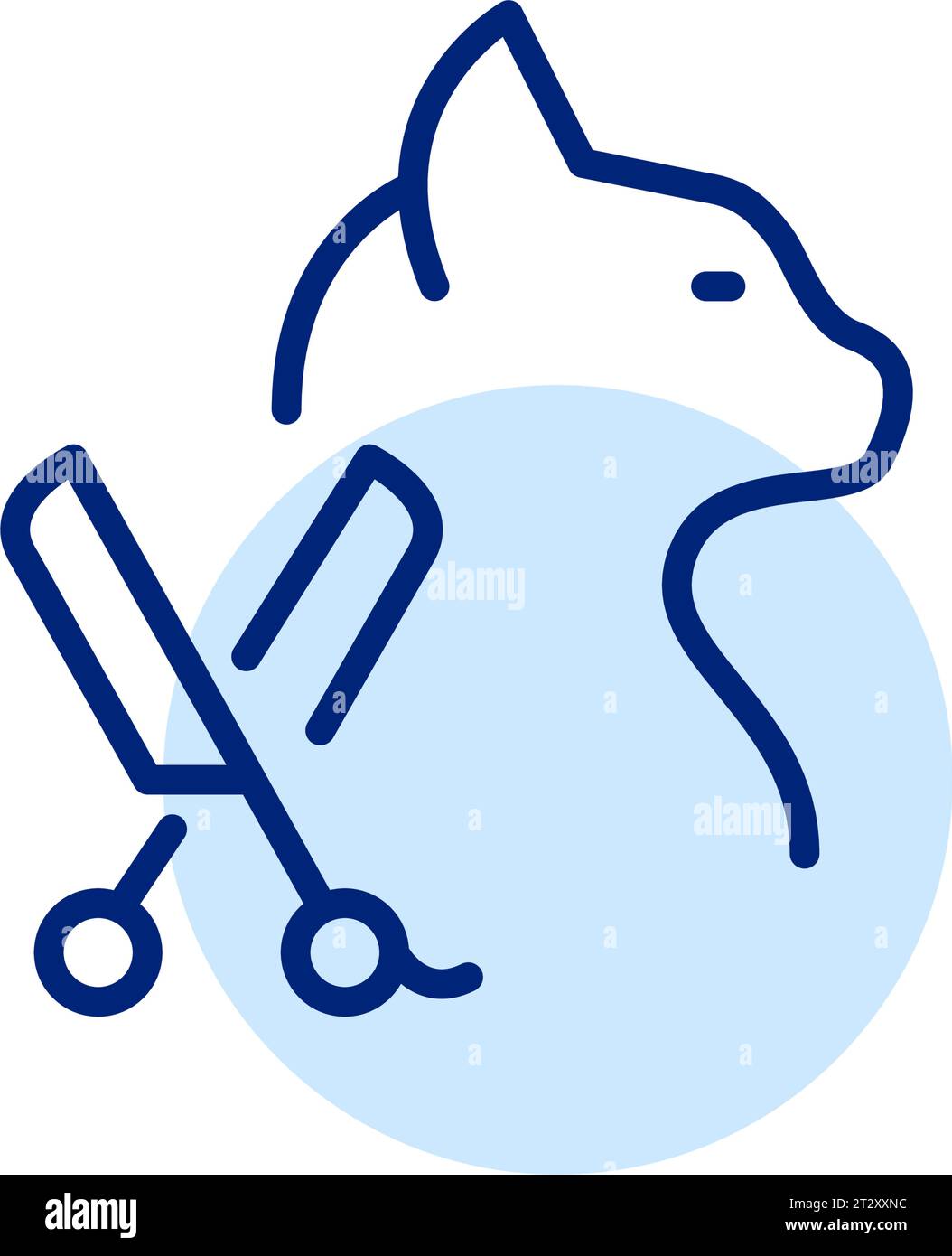 Professional cat model Stock Vector Images - Alamy