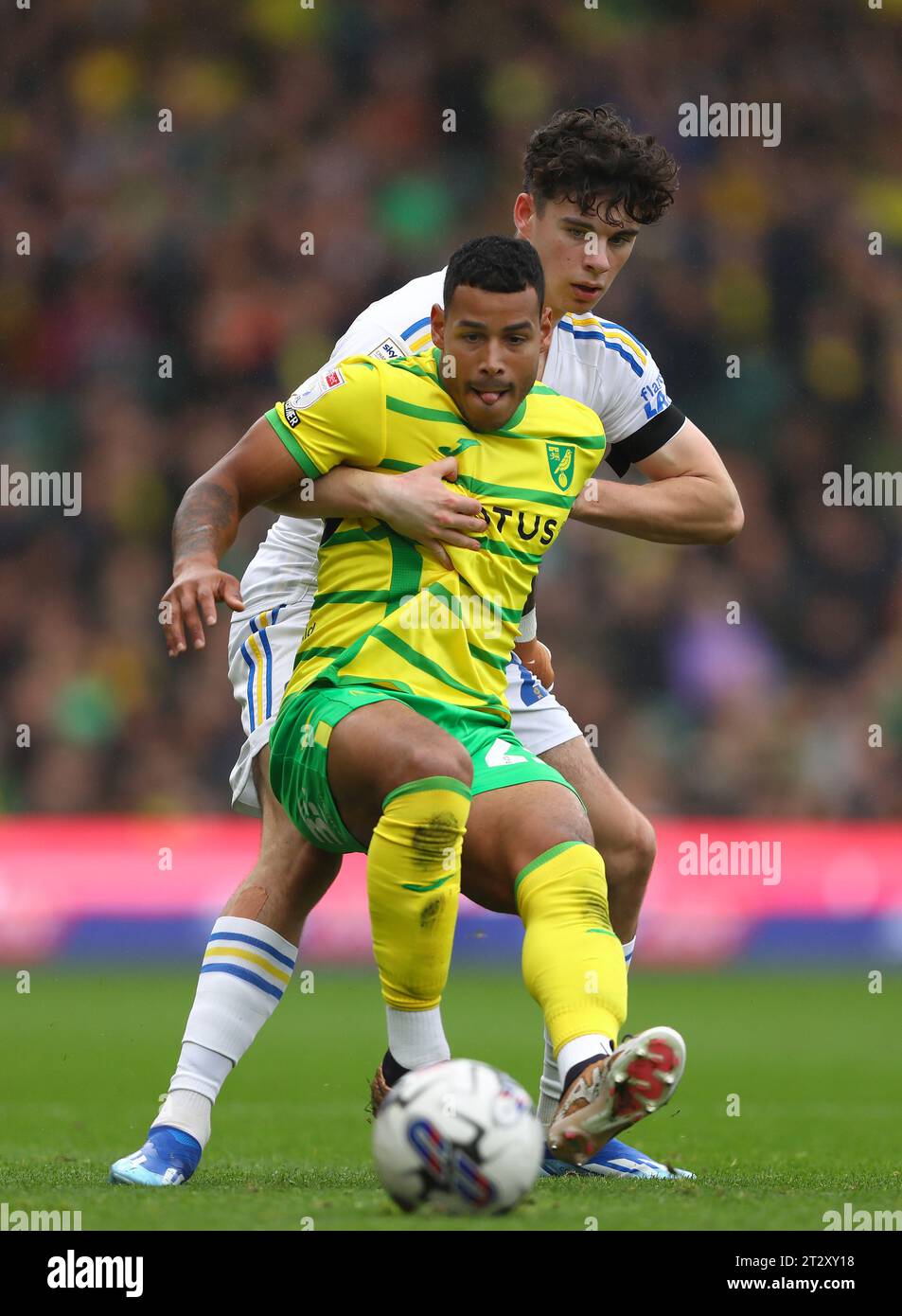 Archie gray leeds 2023 hi-res stock photography and images - Alamy