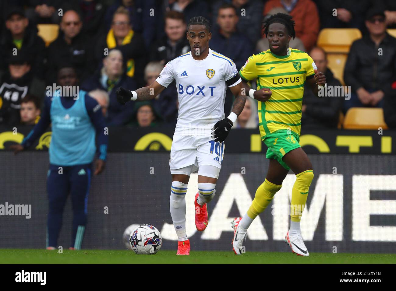 Jonathan rowe norwich hi-res stock photography and images - Alamy