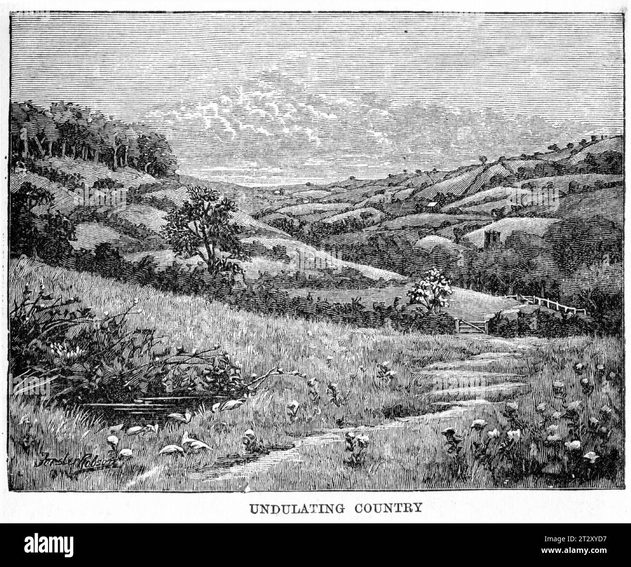 Engraved illustration from a geography book showing undulating country ...