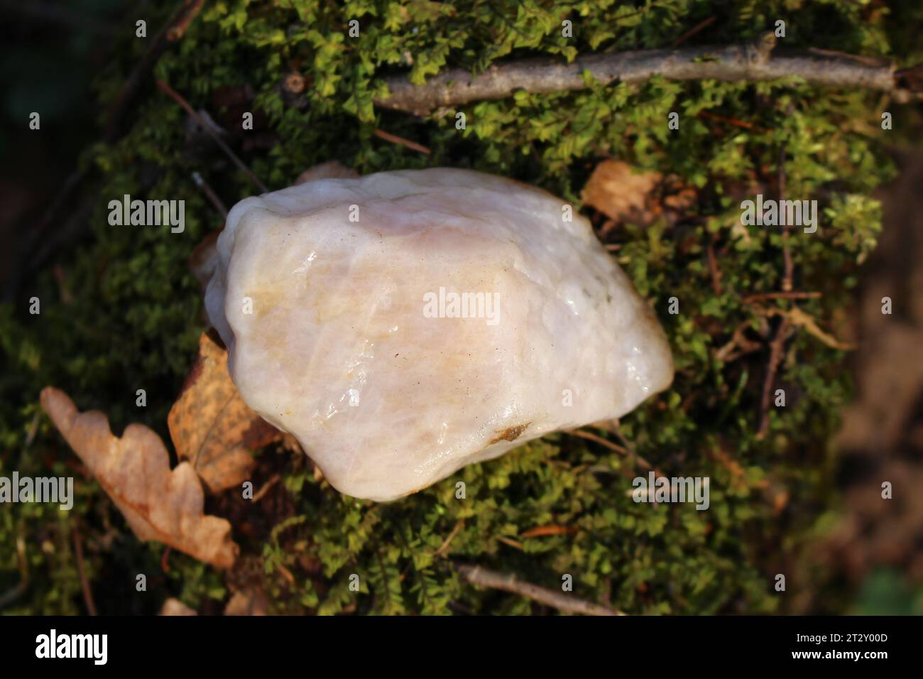 Milky quartz hi-res stock photography and images - Alamy
