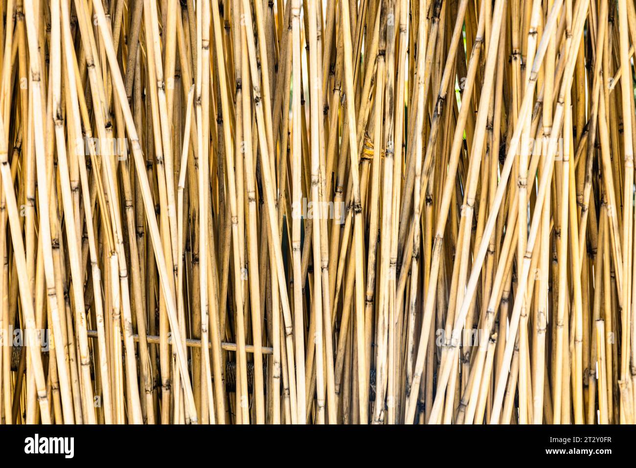 Granular material, solid wood with a structural surface for design ...