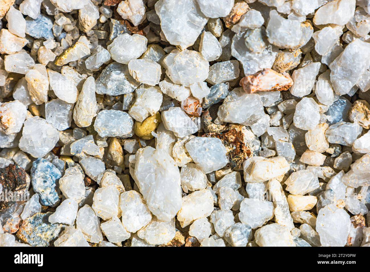 Granular material, solid wood with a structural surface for design ...