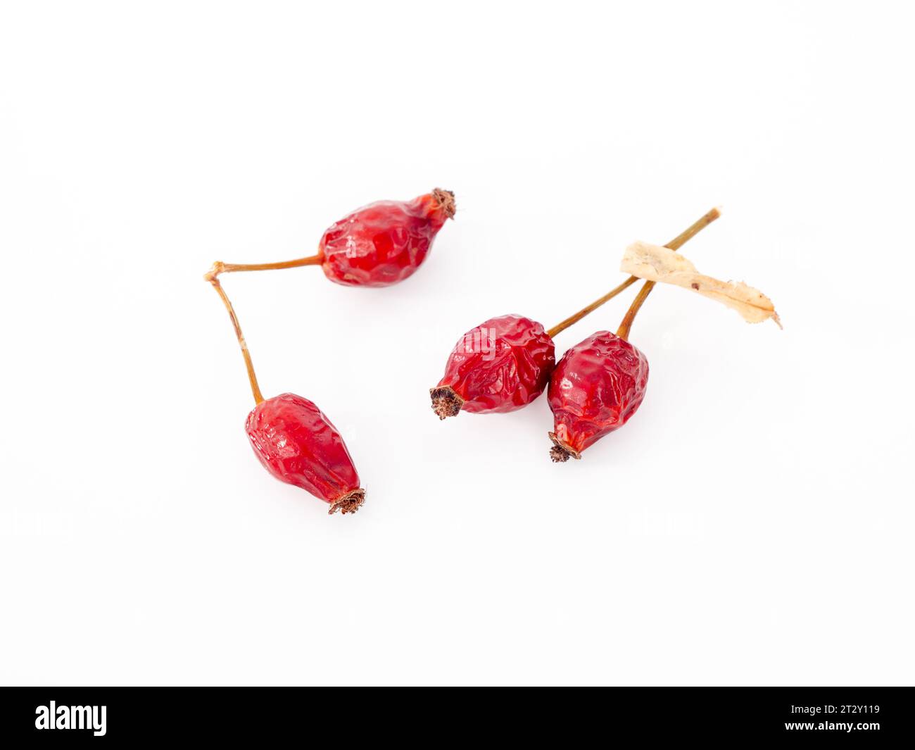 Rose hips harvest Cut Out Stock Images & Pictures - Alamy