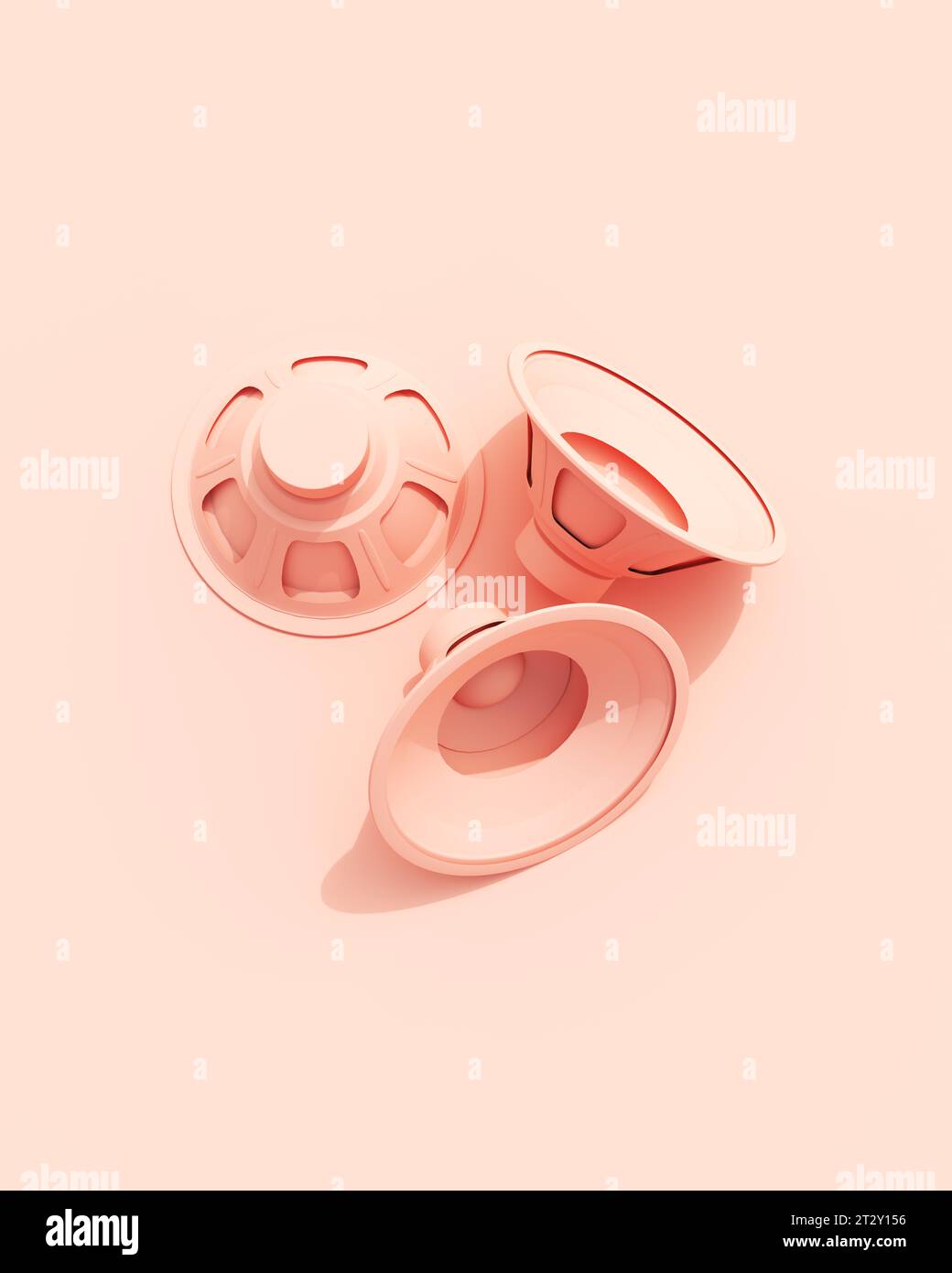 Rose pink speakers cone musical instruments equipment flat lay diagonal ...