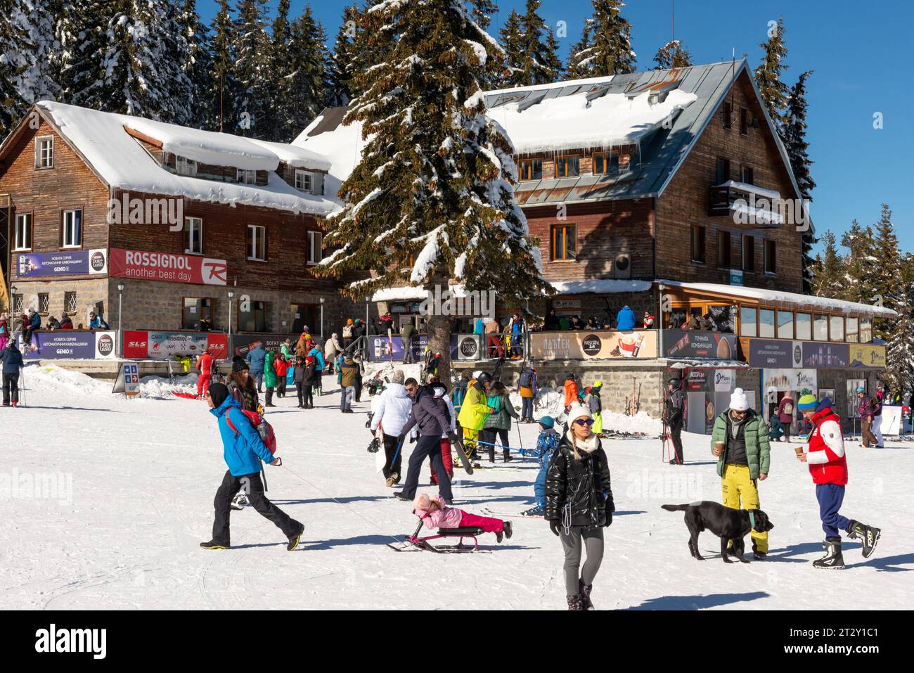 Aleko hut hi-res stock photography and images - Alamy