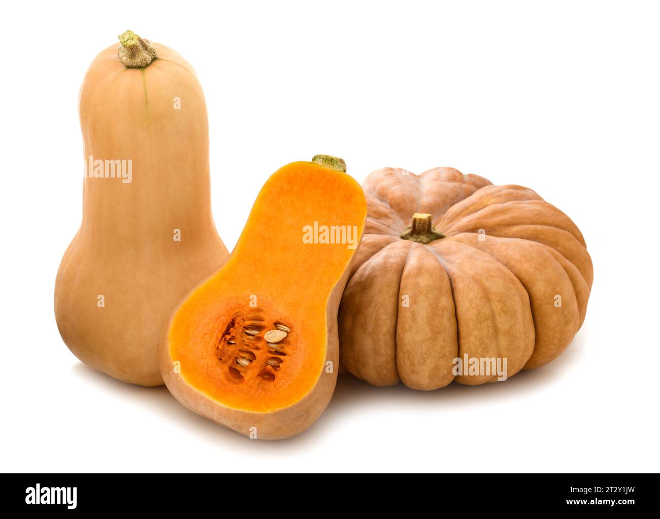 Yellow pumpkins Cut Out Stock Images & Pictures - Alamy