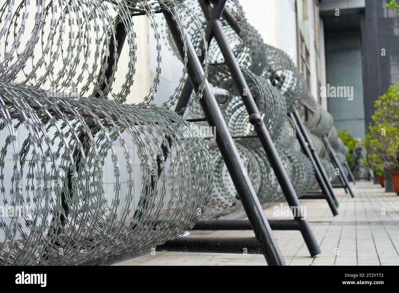 Compelling composition showcasing a series of lined-up barbed wire ...