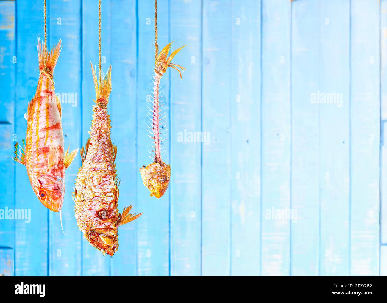 The three cooking stages of a red mullet: raw, fried with its own ...
