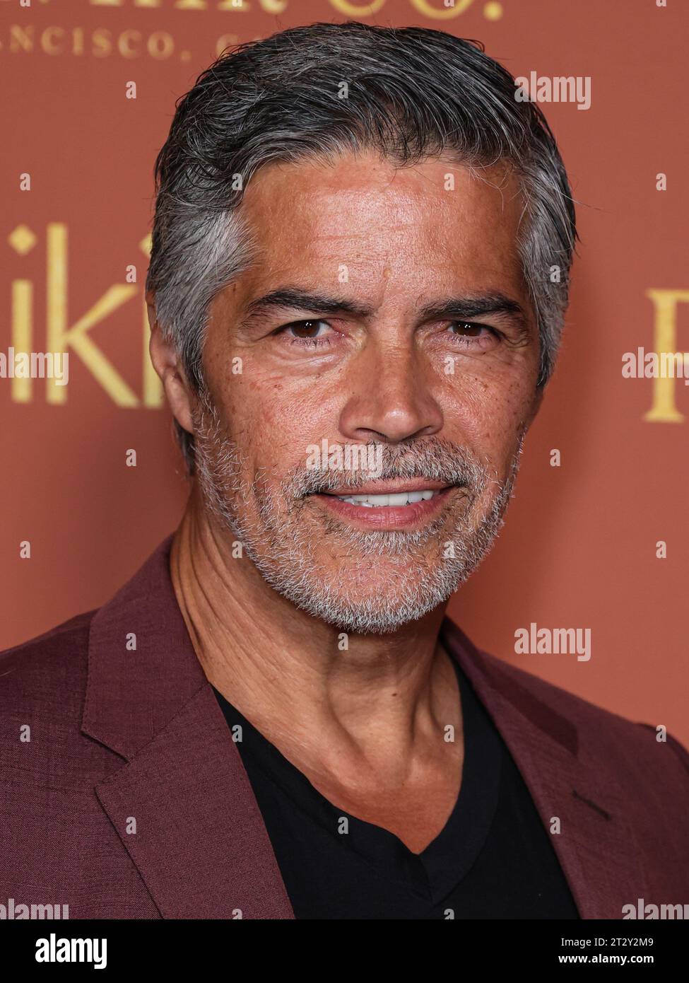 HANCOCK PARK, LOS ANGELES, CALIFORNIA, USA - OCTOBER 21: American actor ...