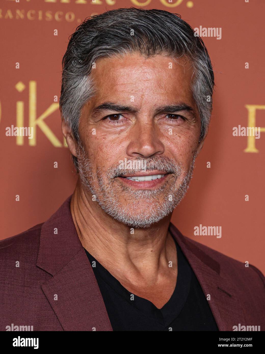 HANCOCK PARK, LOS ANGELES, CALIFORNIA, USA - OCTOBER 21: American actor ...