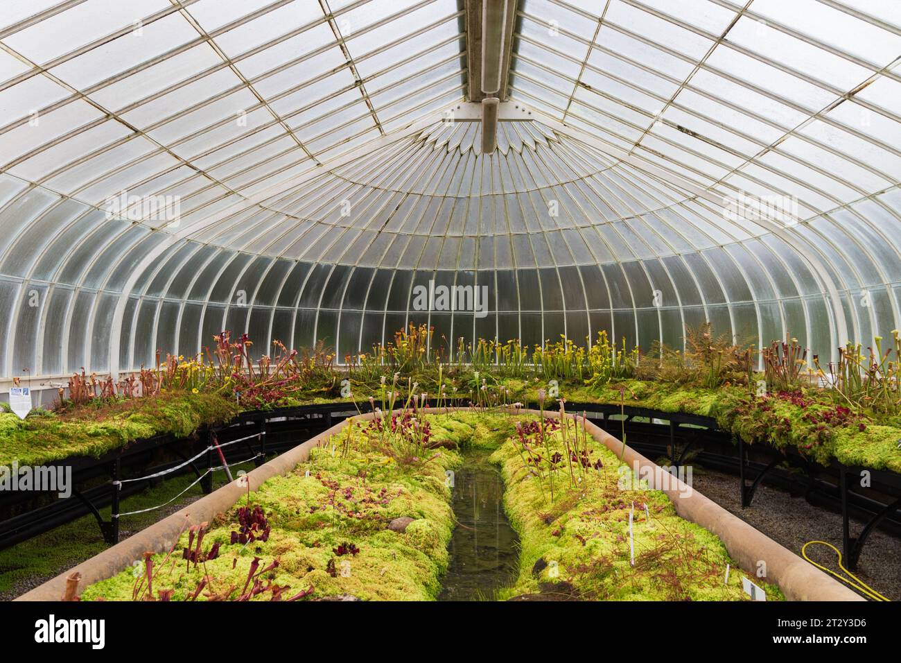 Indoor botanical garden hi-res stock photography and images - Alamy