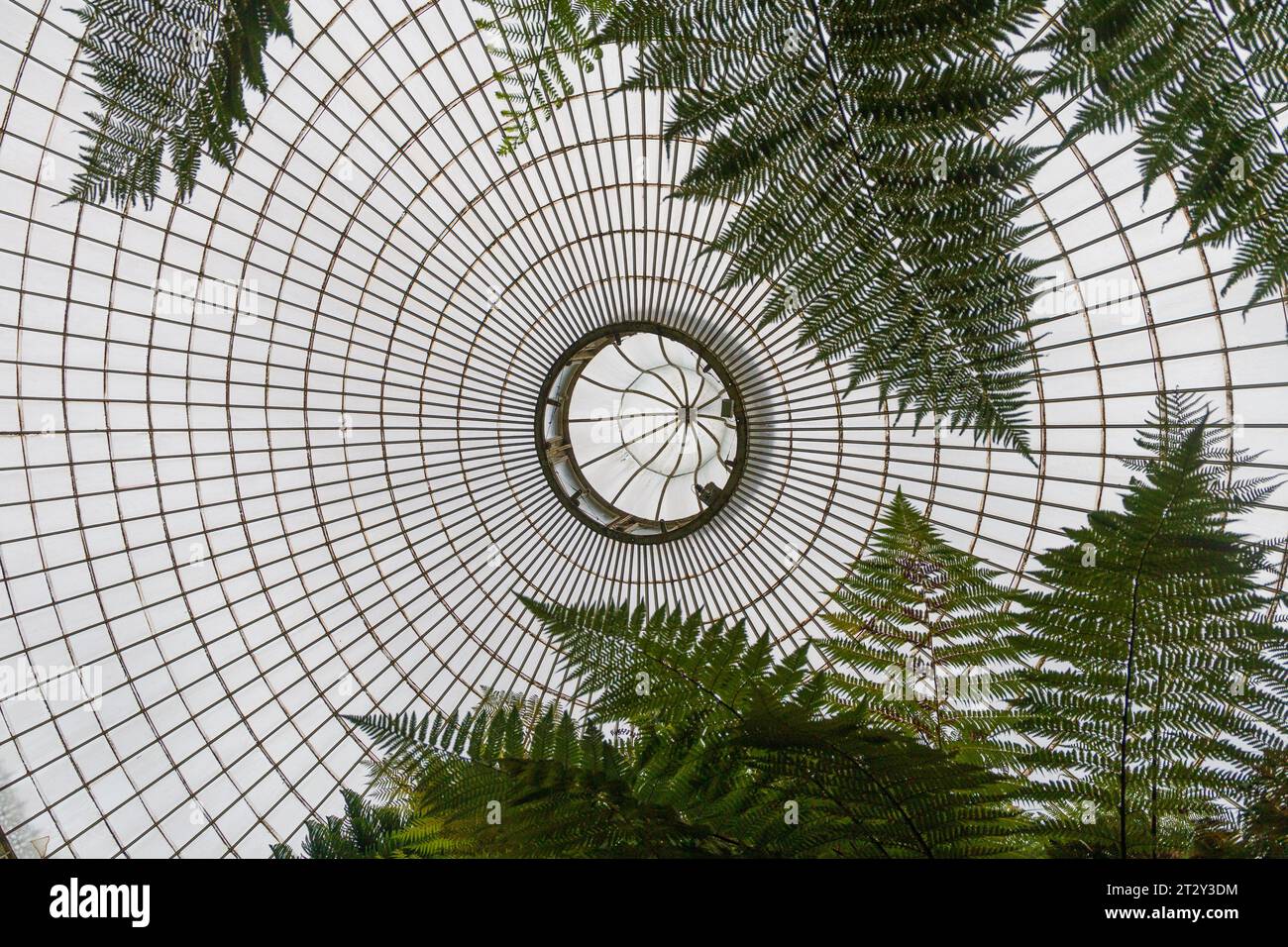 Dome of a glasshouse Stock Photo - Alamy