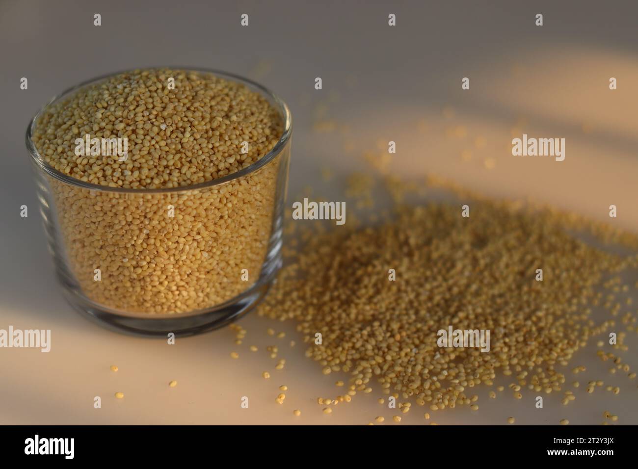 Proso millet, tiny round seeds with a golden hue kept in a glass bowl ...