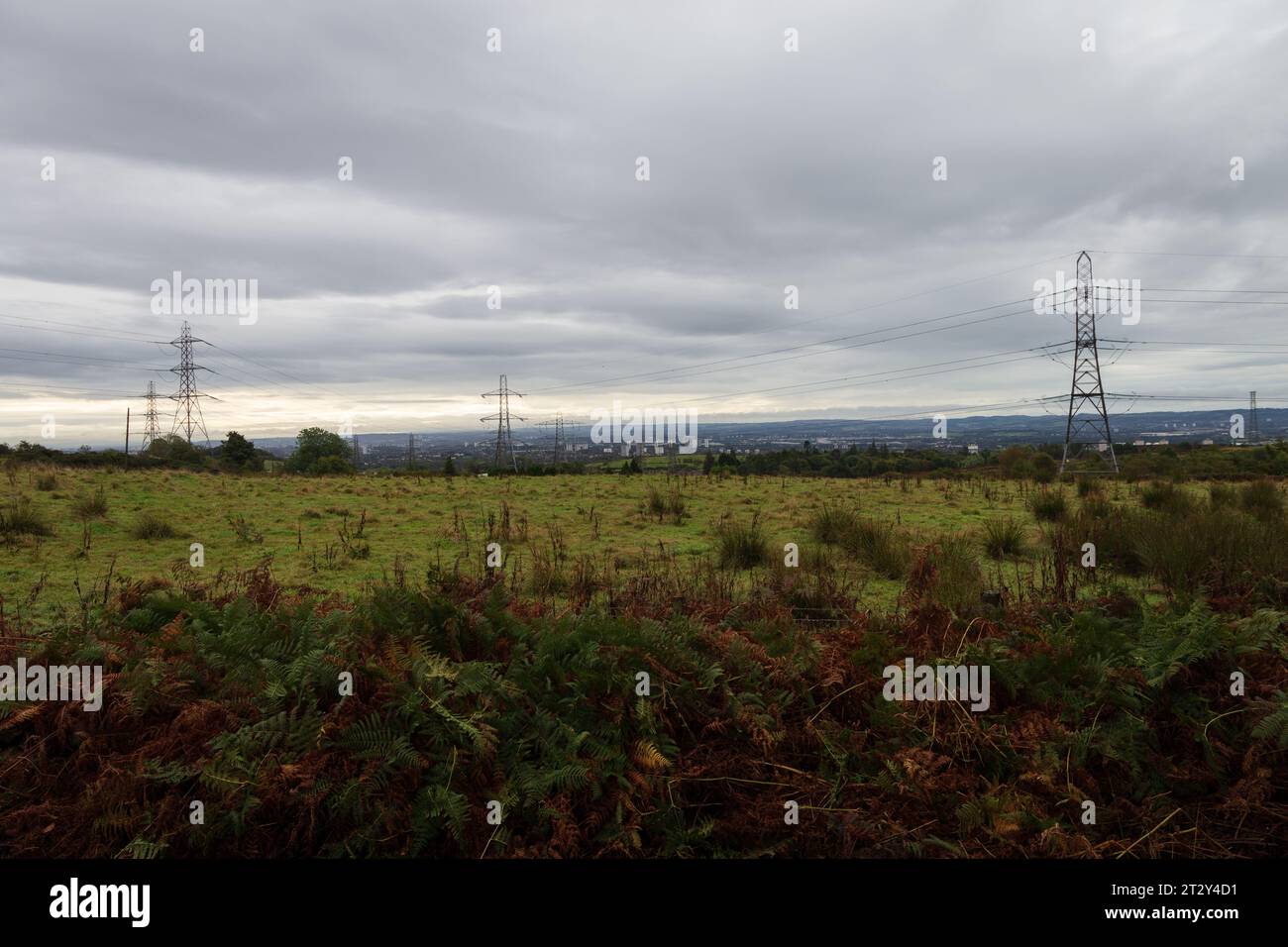 Electric Pylons in the Scottish Countryside on a autumn morning Stock ...