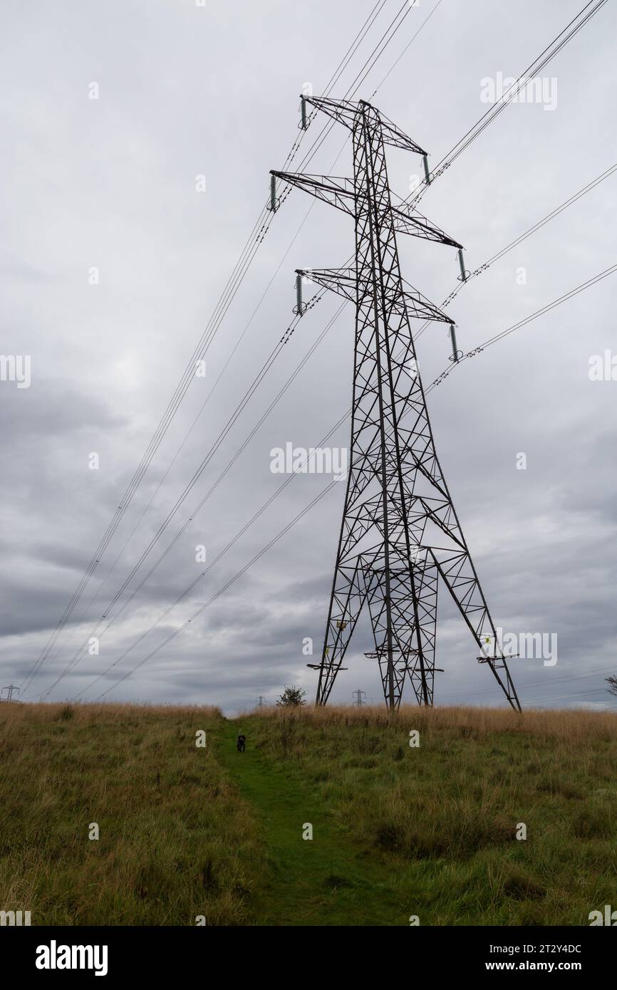 Electric Pylons in the Scottish Countryside on a autumn morning Stock ...