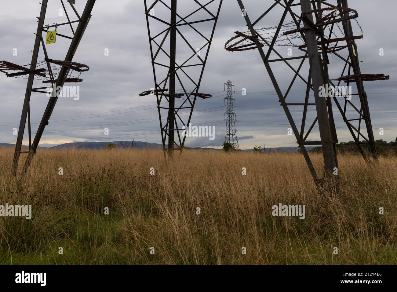 Electric Pylons in the Scottish Countryside on a autumn morning Stock ...