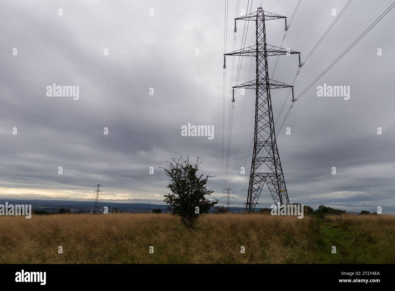 Electric Pylons in the Scottish Countryside on a autumn morning Stock ...