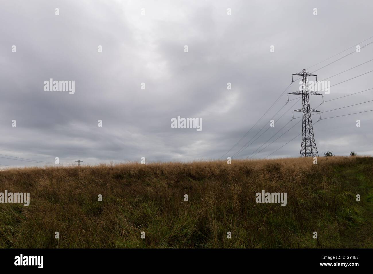 Electric Pylons in the Scottish Countryside on a autumn morning Stock ...