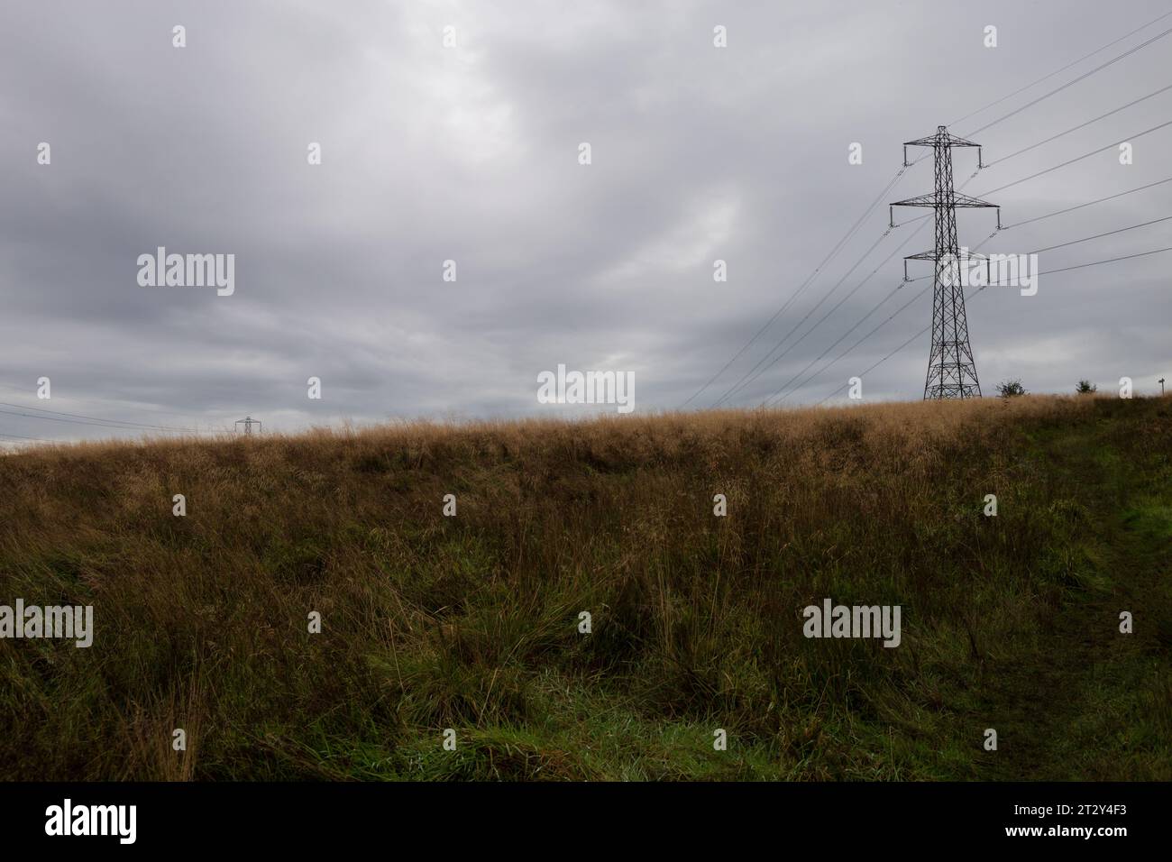 Electric Pylons in the Scottish Countryside on a autumn morning Stock ...