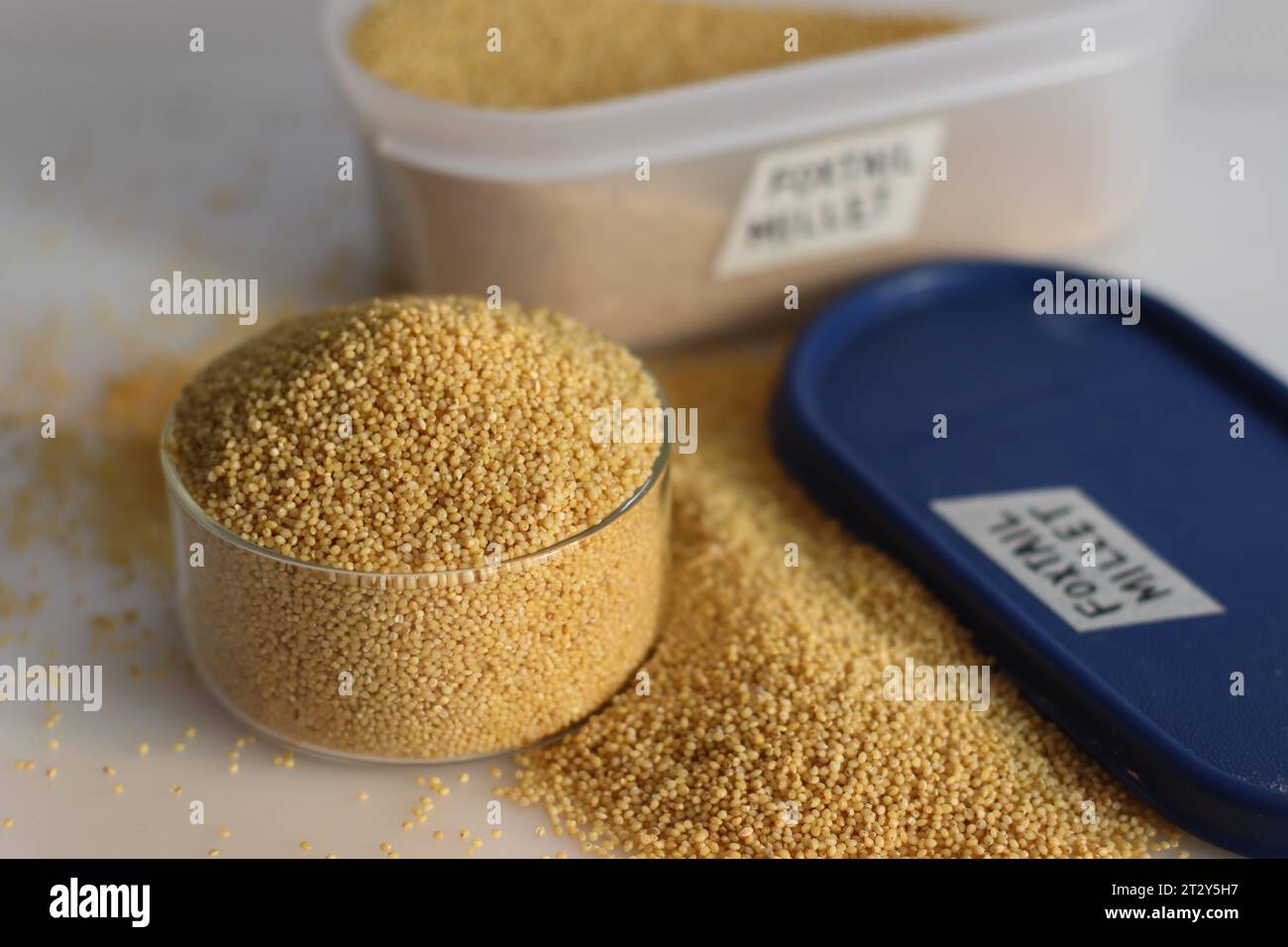 Closeup of foxtail millet grains in a storage container and glass bowl ...