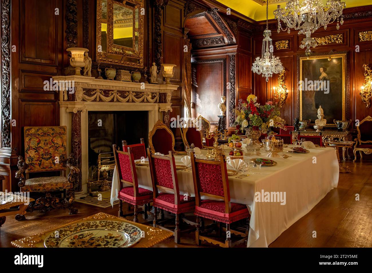 Cedar Drawing Room in Warwick Castle, Warwick, Warwickshire, England ...