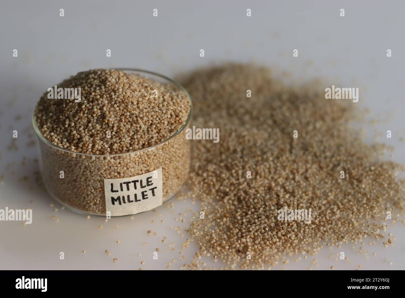 Closeup of little millet grains in a glass bowl with label on it filled ...