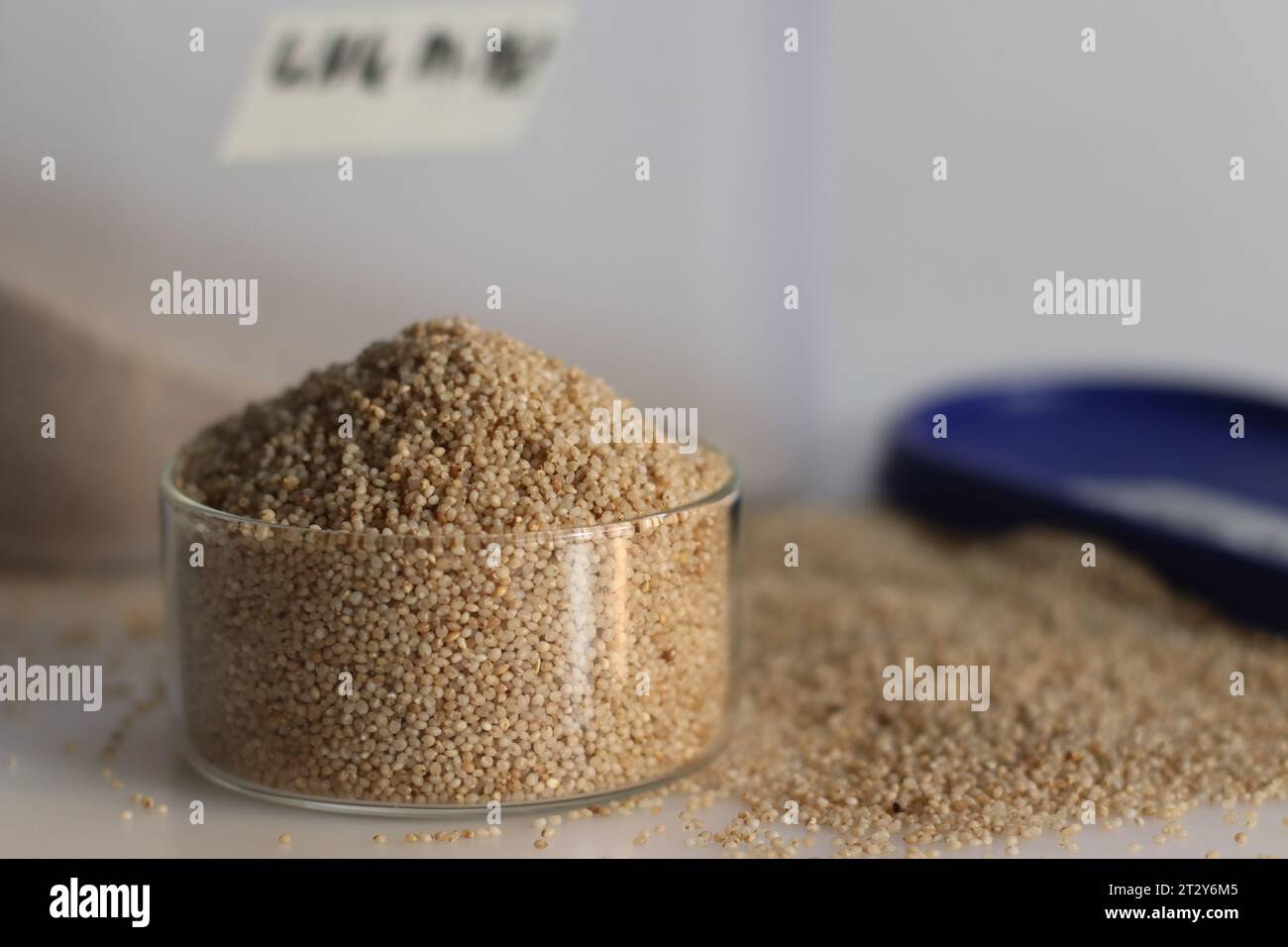 Closeup of little millet grains in a storage container and glass bowl ...